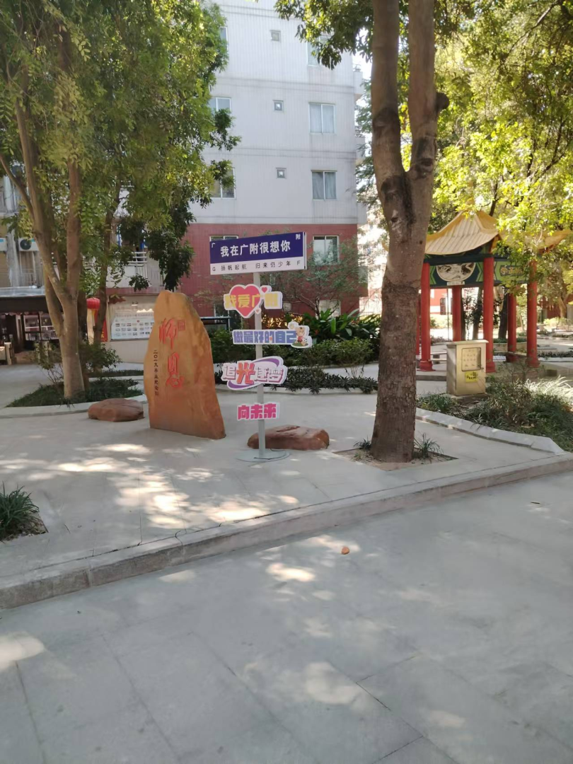 NOIP 2024 游记 & 再见，OI - 洛谷专栏